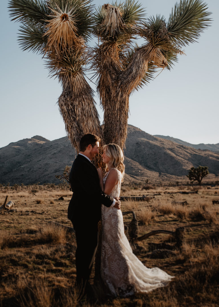 Yellowstone National Park Ranch Elopement - Heather Woolery Photography