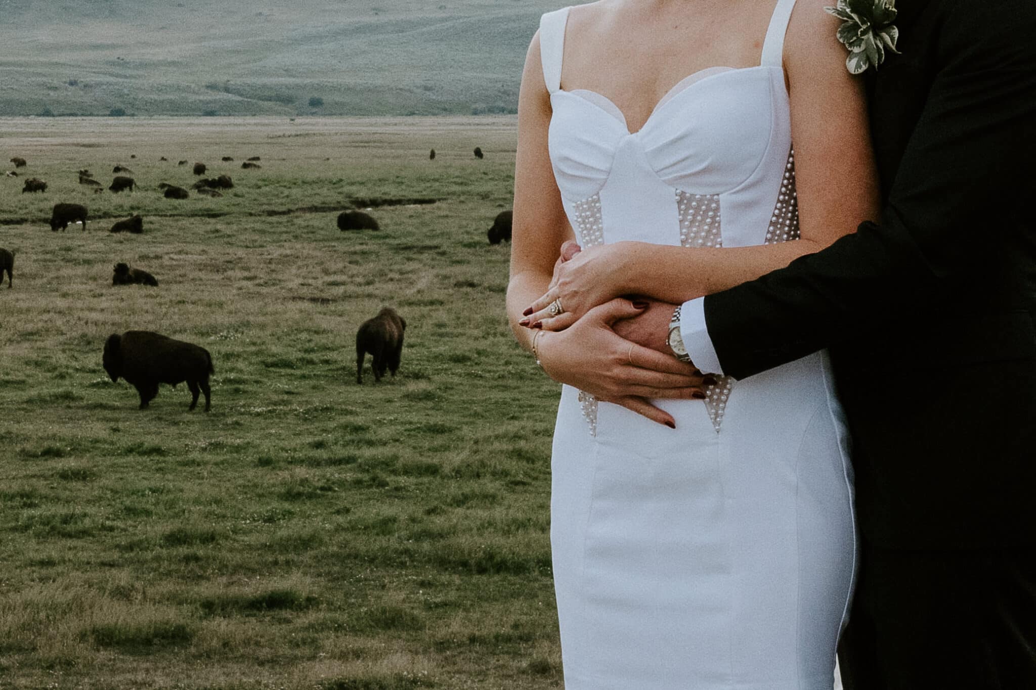 Yellowstone and Africa Safari Wedding Guide - Heather Woolery Photography